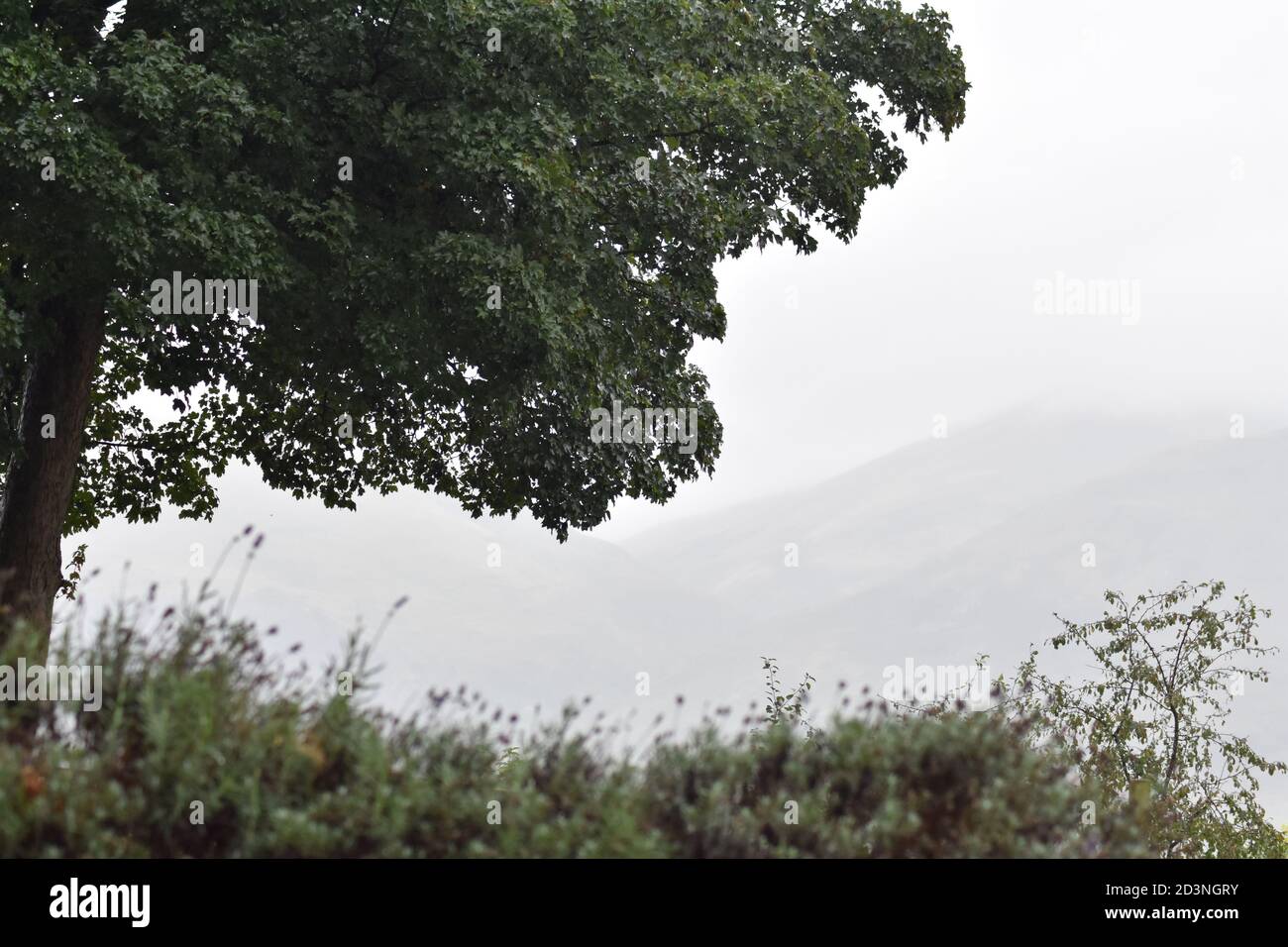 Rainy countryside hi-res stock photography and images - Alamy