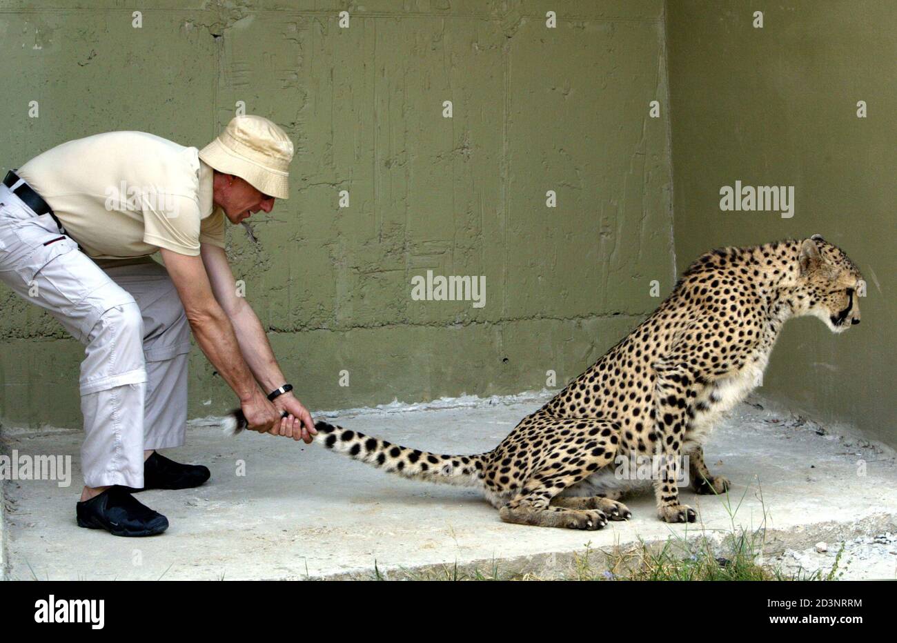 Jurassic Park Year High Resolution Stock Photography and Images - Alamy