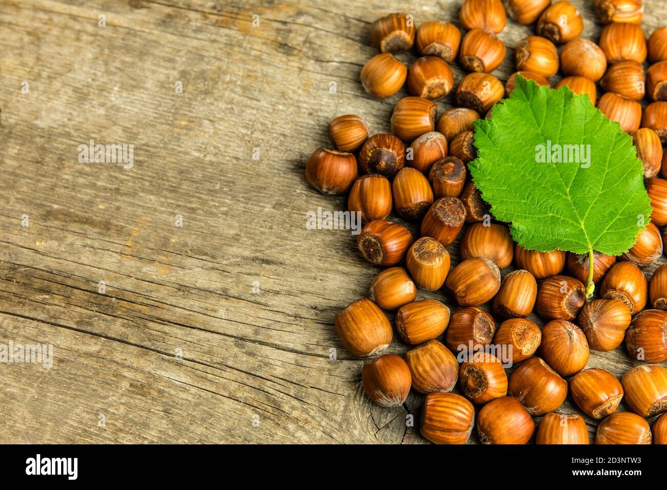hazelnuts on wooden table, top view. Food background. Heap of many ...