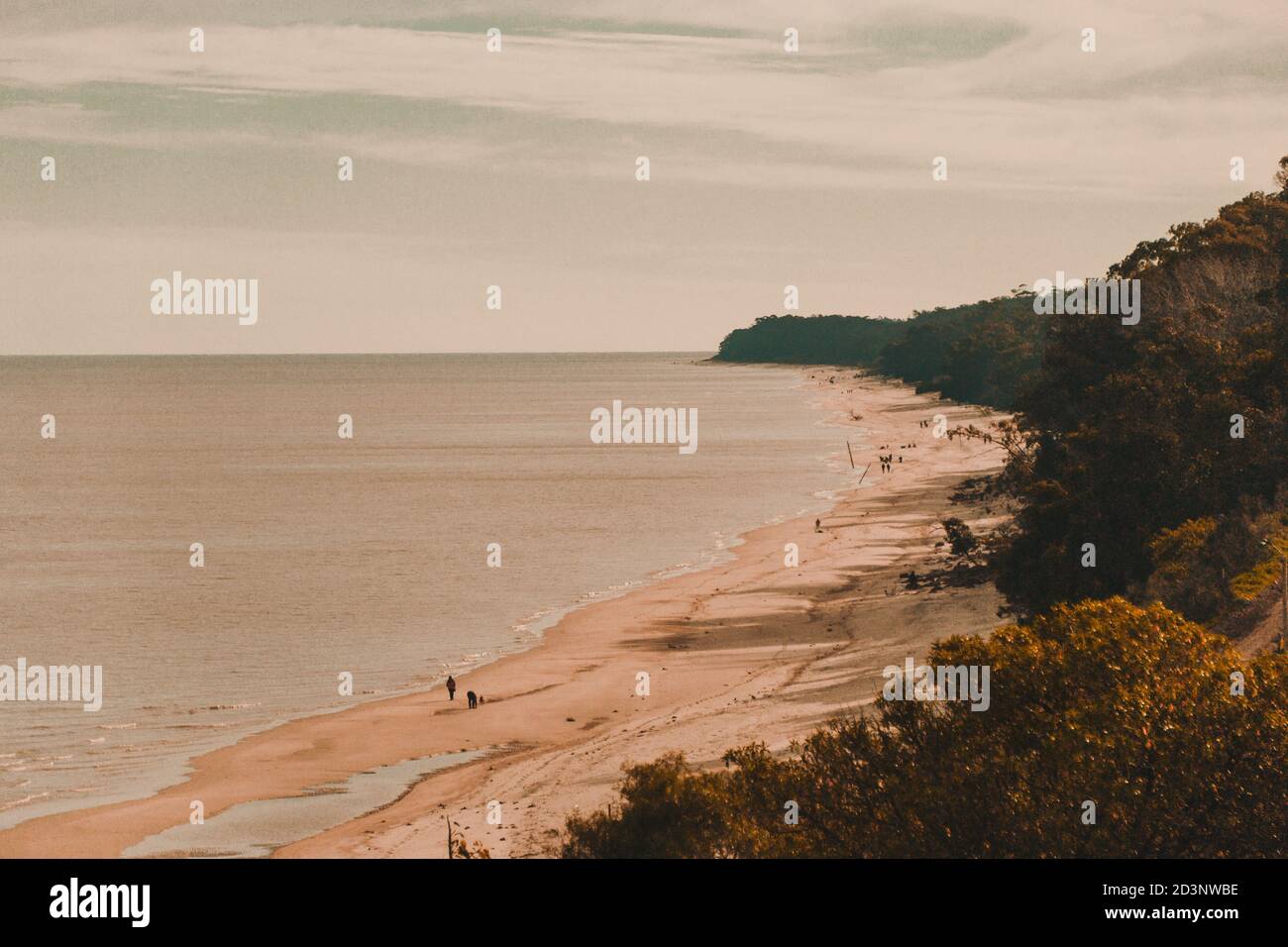 Landscape of the beach with trees Stock Photo - Alamy