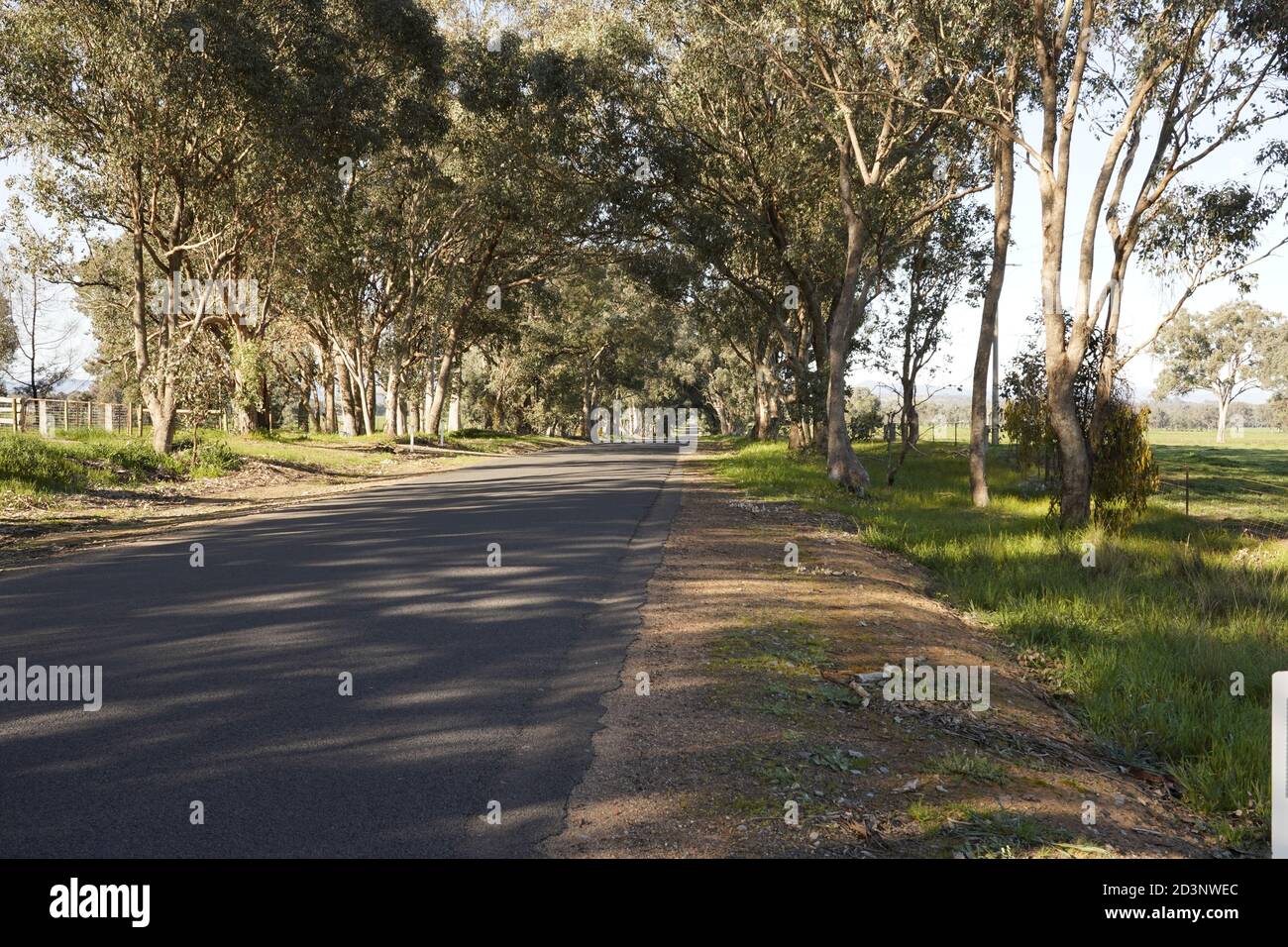 Country road rural Victoria Australia Stock Photo - Alamy
