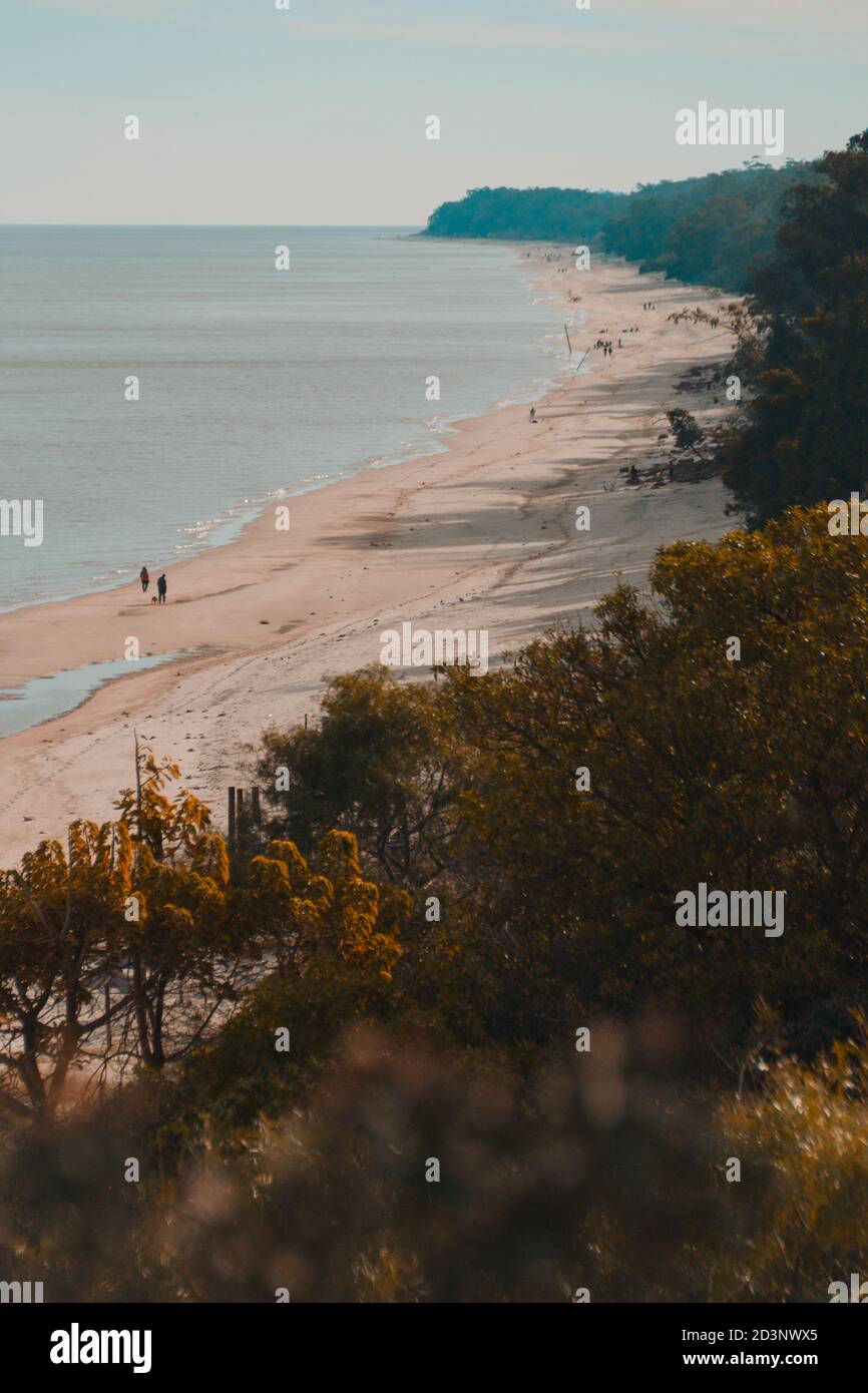Landscape of the beach with trees Stock Photo - Alamy