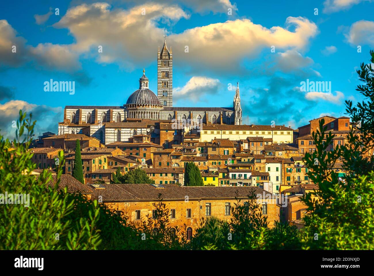 Siena, Duomo cathedral skyline at sunset. Unesco world heritage site ...