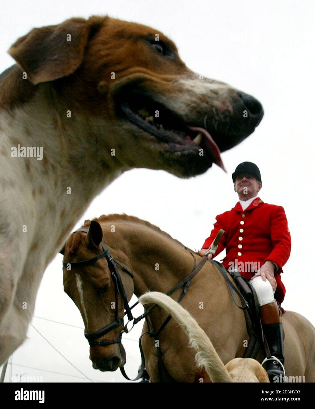 Whaddon chase hunt hi-res stock photography and images - Alamy
