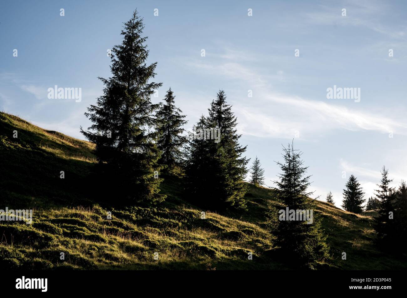 Beautiful autumn landscape view at the Izvoare, Maramures Stock Photo ...
