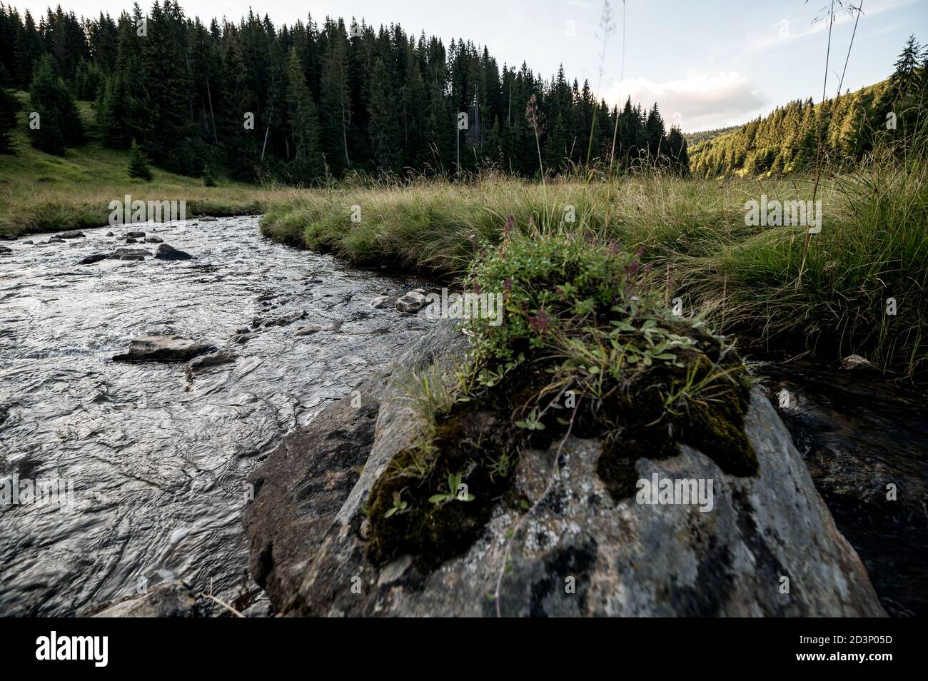 Landscape in maramures romania hi-res stock photography and images - Alamy