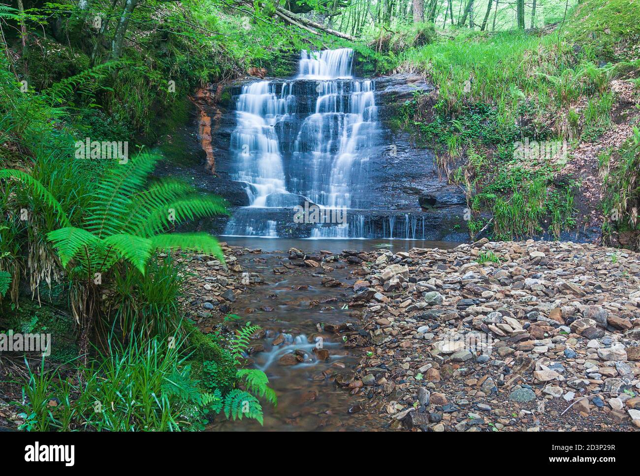 Waterfall Ipisti basoko erreka Stock Photo - Alamy