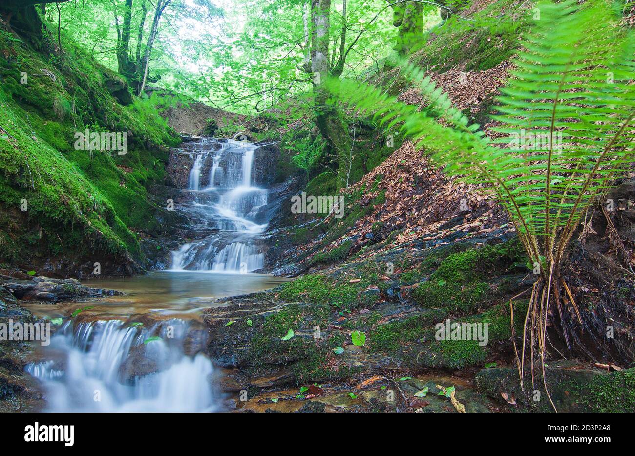 Petit waterfall in Ipisti basoko erreka Stock Photo - Alamy