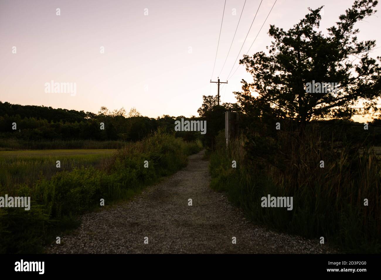 Narrow path through the grass hi-res stock photography and images - Alamy