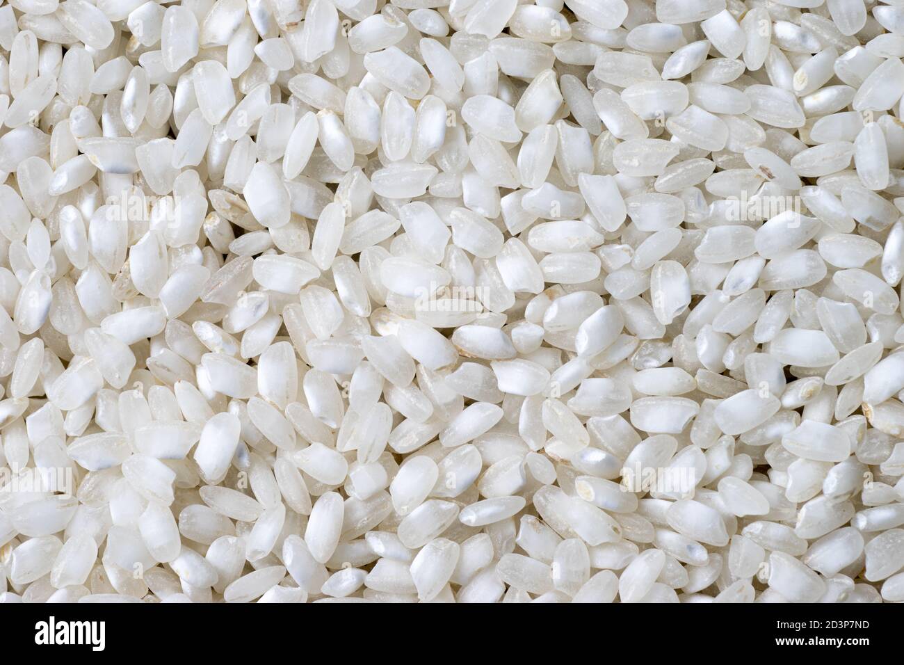 Seed texture hi-res stock photography and images - Alamy