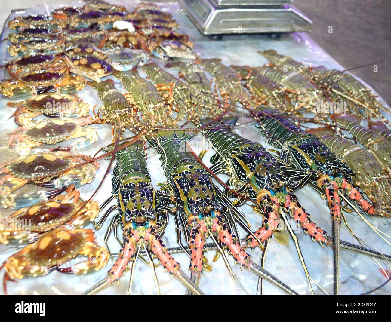 Fresh traditional tropical fish in the Sea Beach market Stock Photo - Alamy