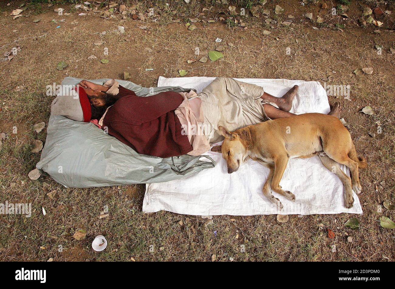 India slum dogs hi-res stock photography and images - Alamy