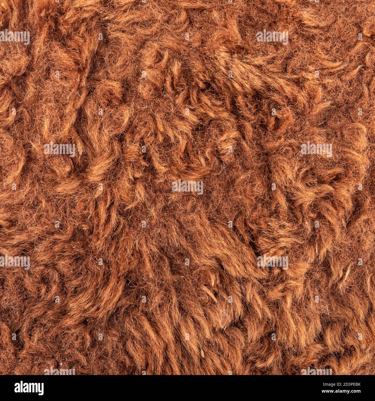 Shaggy wool as an abstract background. Wool close-up Stock Photo - Alamy