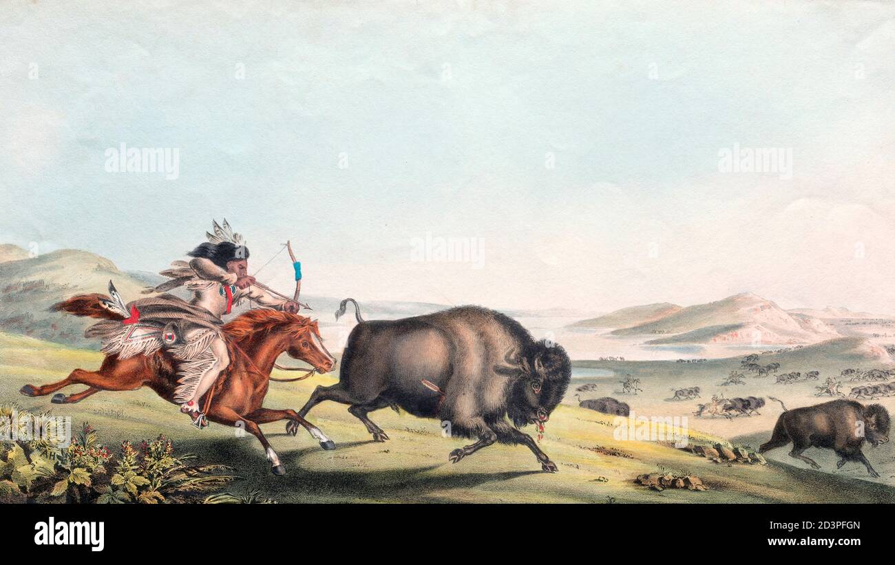 Native american indian hunting buffalo hi-res stock photography and ...