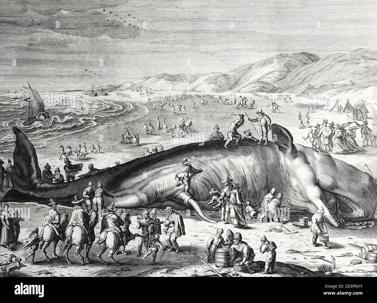 The engraving by William van der Gouwen shows a 21.3 m (70 ft) long ...