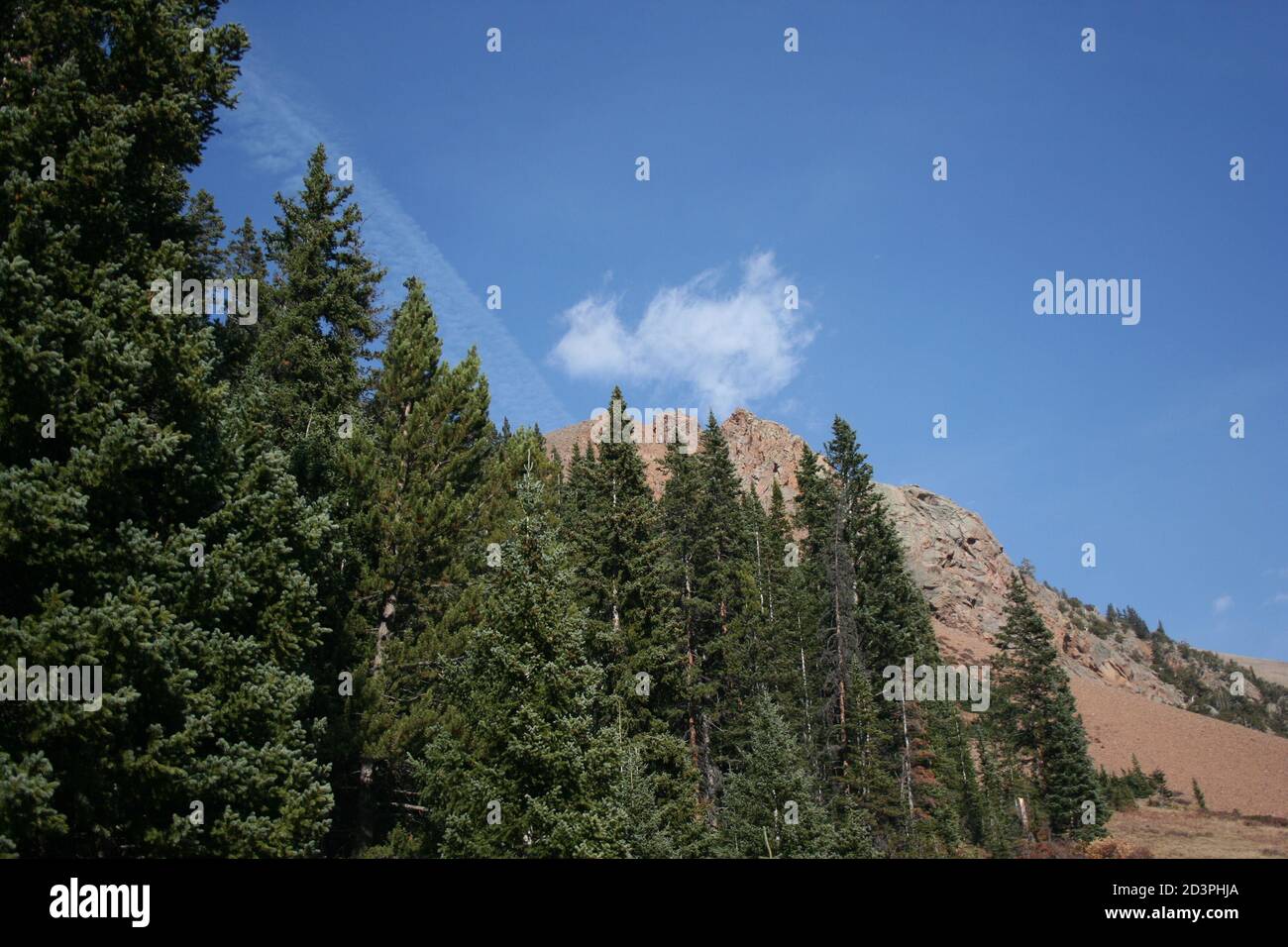 Cdt hi-res stock photography and images - Alamy