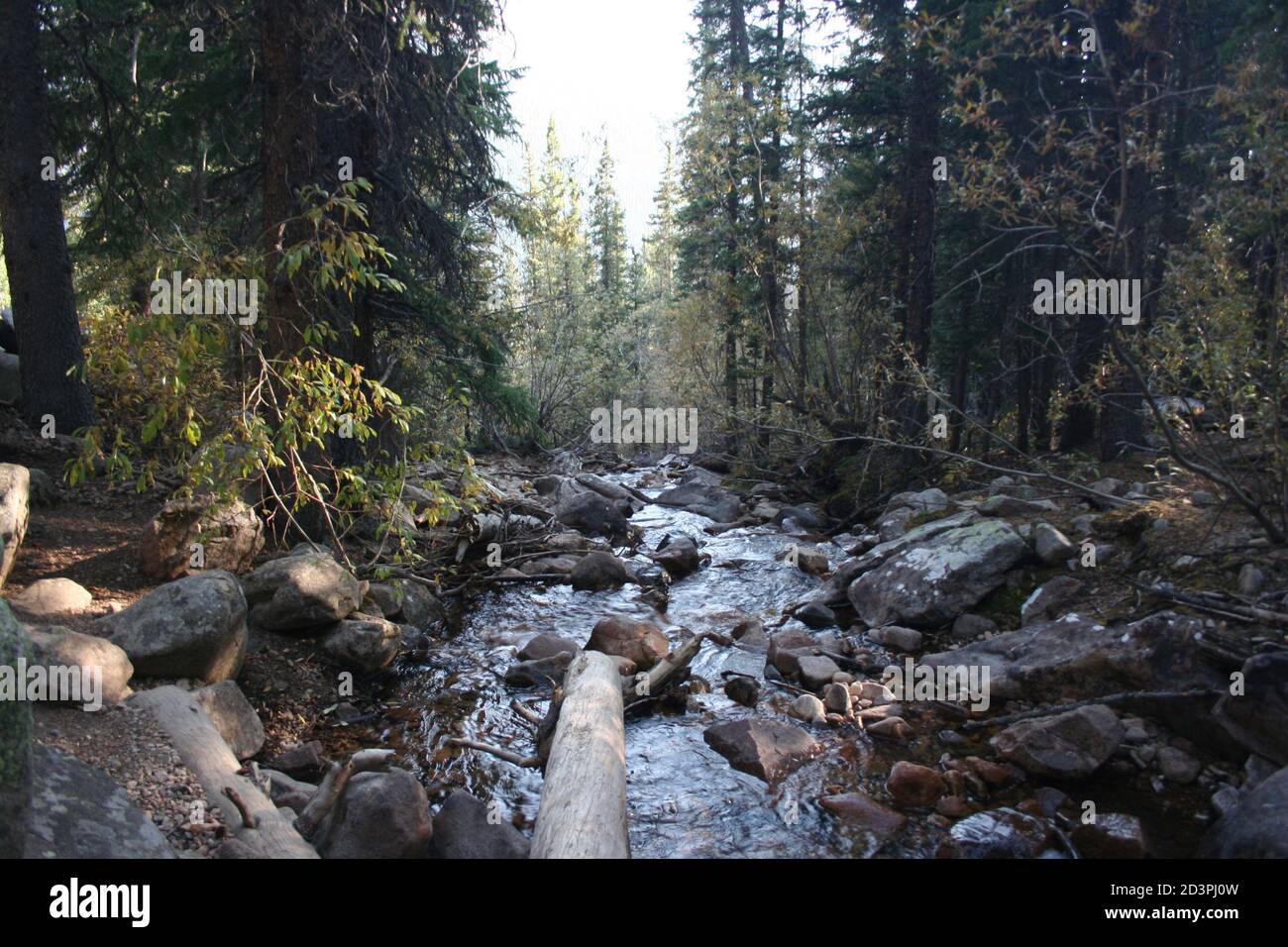 Herman Gulch, CO, filled with autumn grass and trees. Creeks run down ...