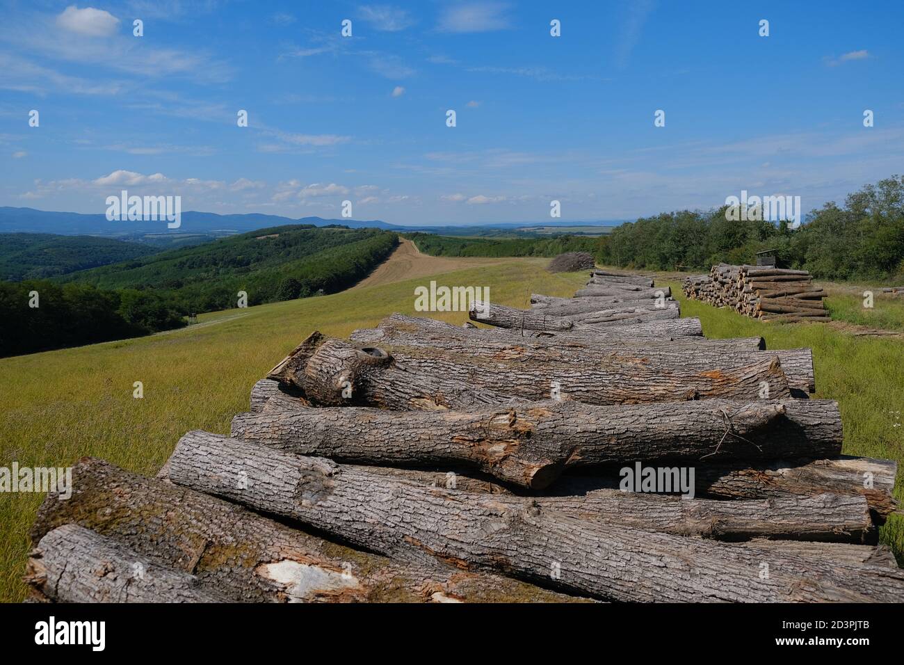 Pile of wooden logs stacked together on top of each other Stock Photo ...