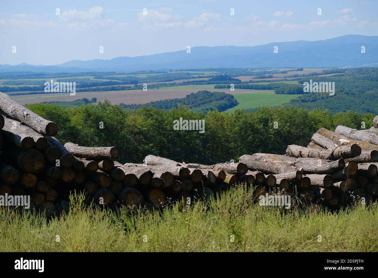 Pile of wooden logs stacked together on top of each other Stock Photo ...