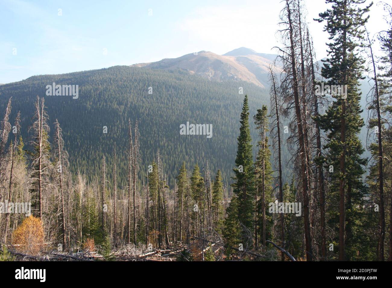 Herman Gulch, CO, shrouded by wildfire smoke over the autumn grass and ...