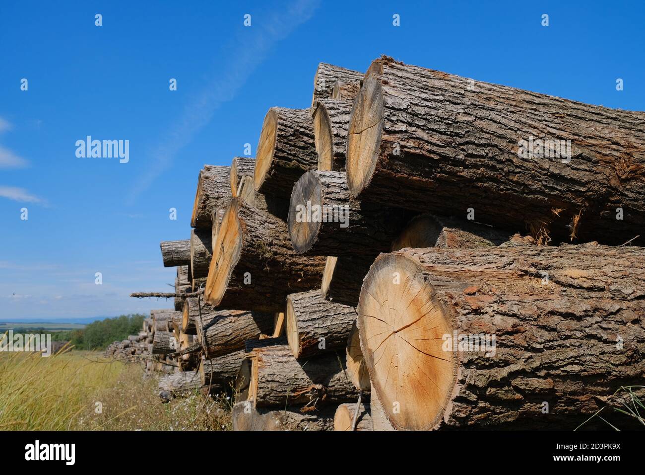 Pile of wooden logs stacked together on top of each other Stock Photo ...