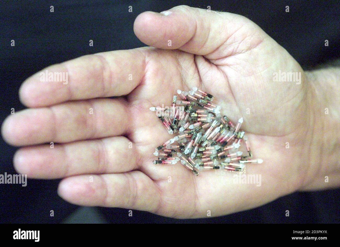 Verichip hi-res stock photography and images - Alamy