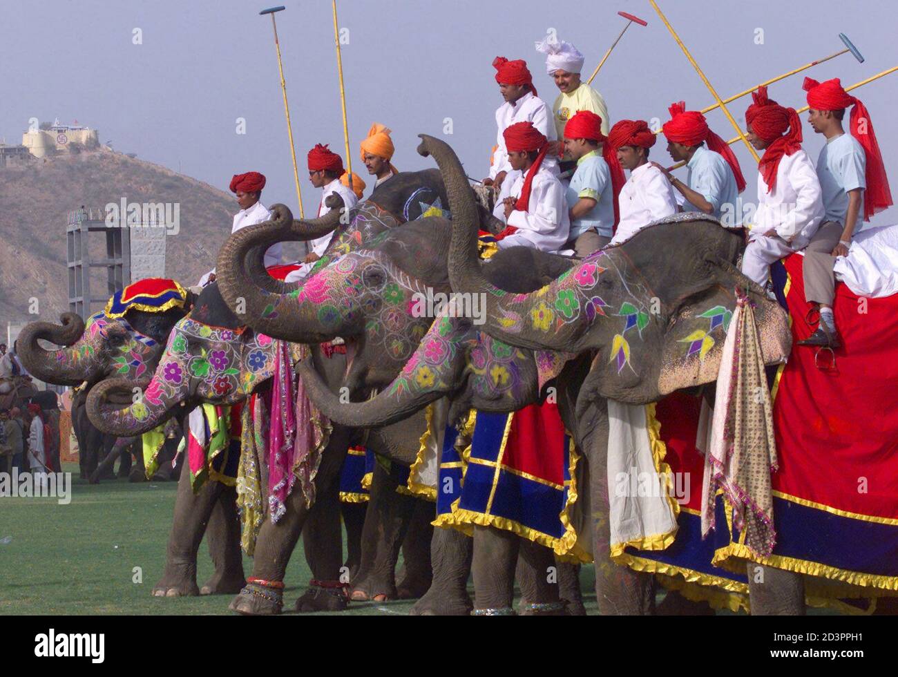 India war elephant hi-res stock photography and images - Alamy
