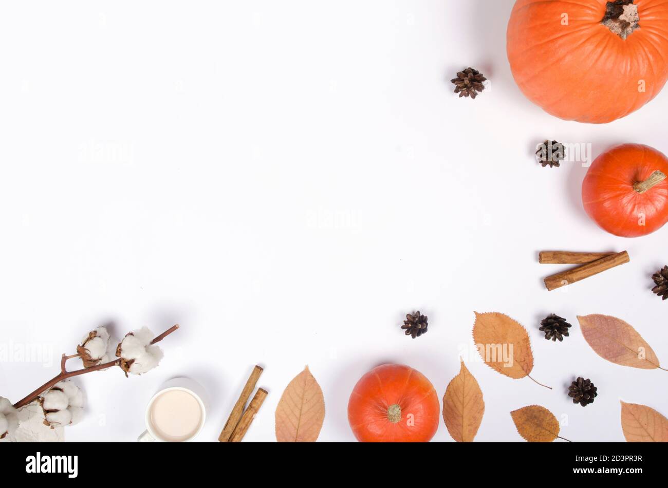 Autumn background with pumpkin, cinnamon and leaves on white background ...