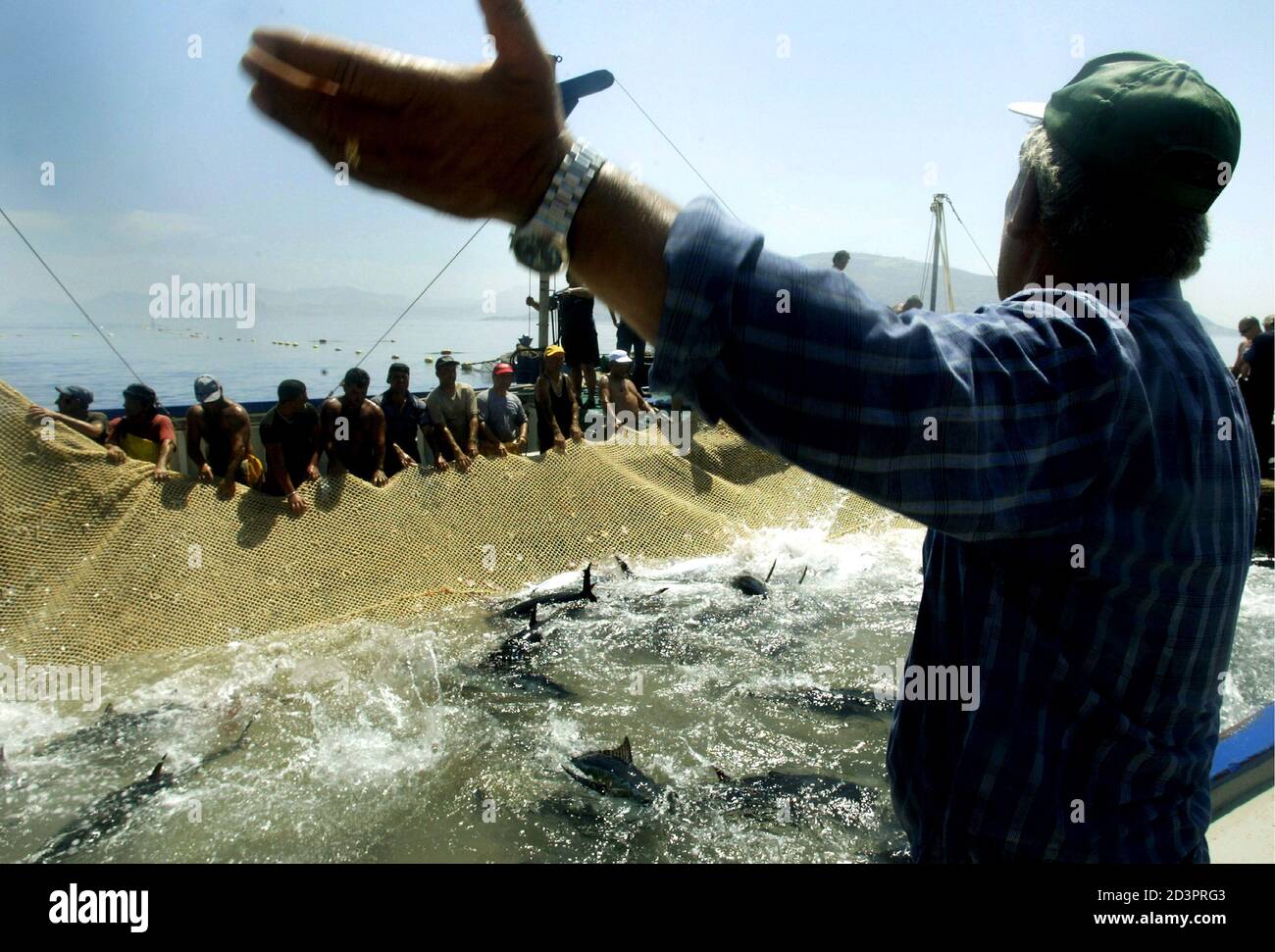 Sicily tuna fishing mattanza hi-res stock photography and images - Alamy