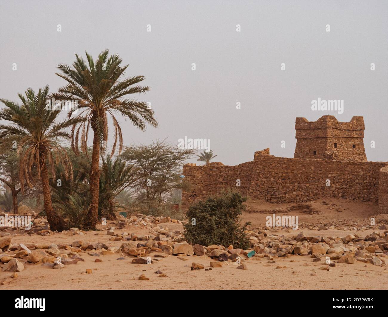 Wadan hi-res stock photography and images - Alamy