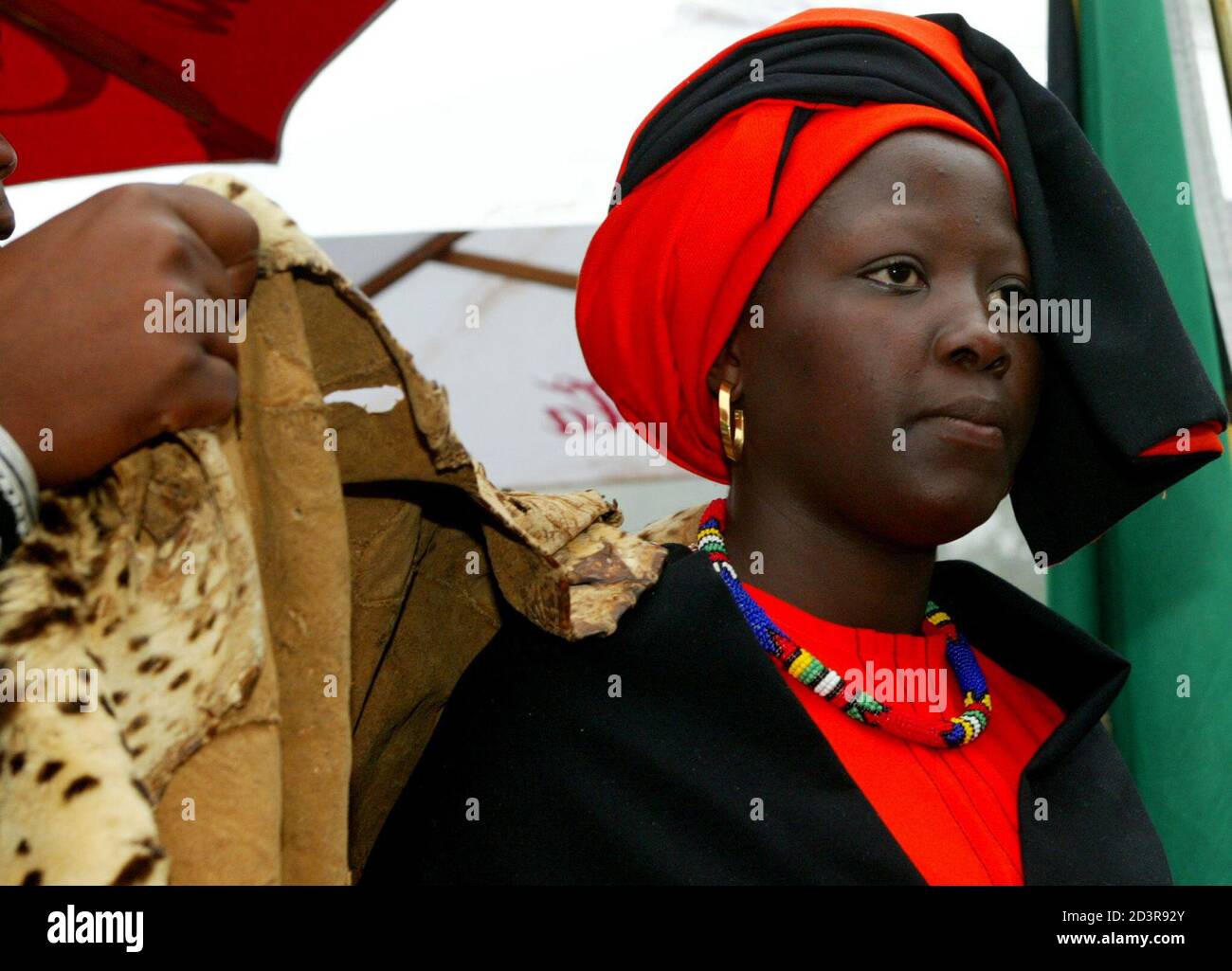 Modjadji High Resolution Stock Photography and Images - Alamy