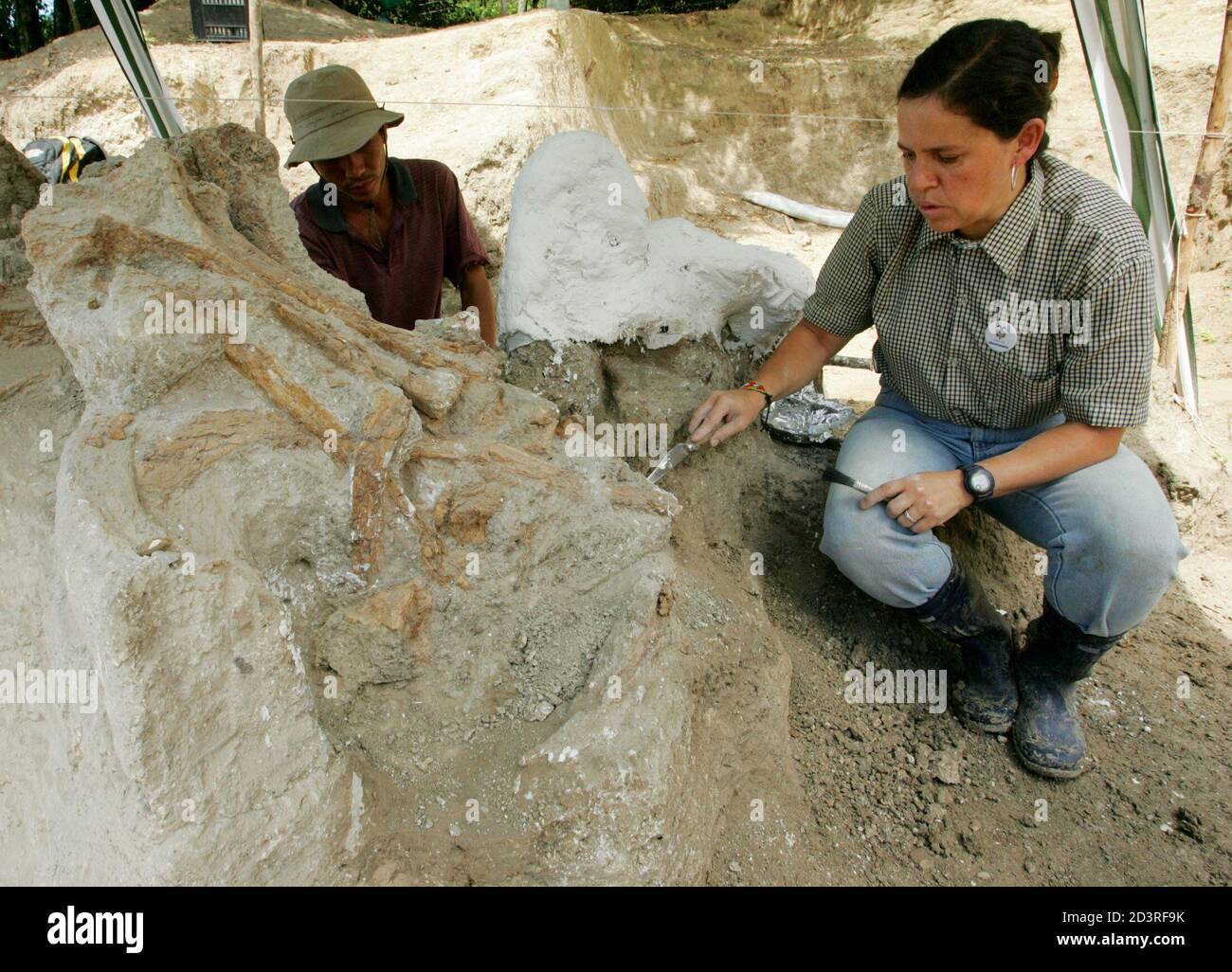 Pubenza hi-res stock photography and images - Alamy