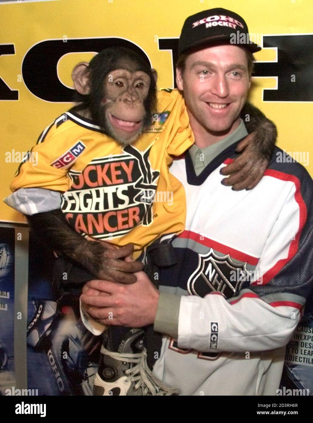 Most valuable primate hi-res stock photography and images - Alamy