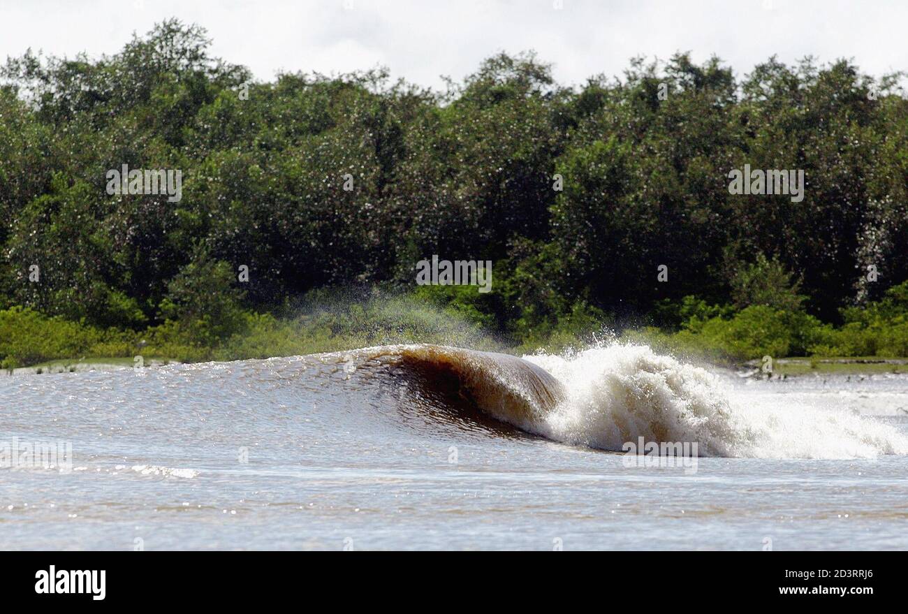 Pororoca waves hi-res stock photography and images - Alamy