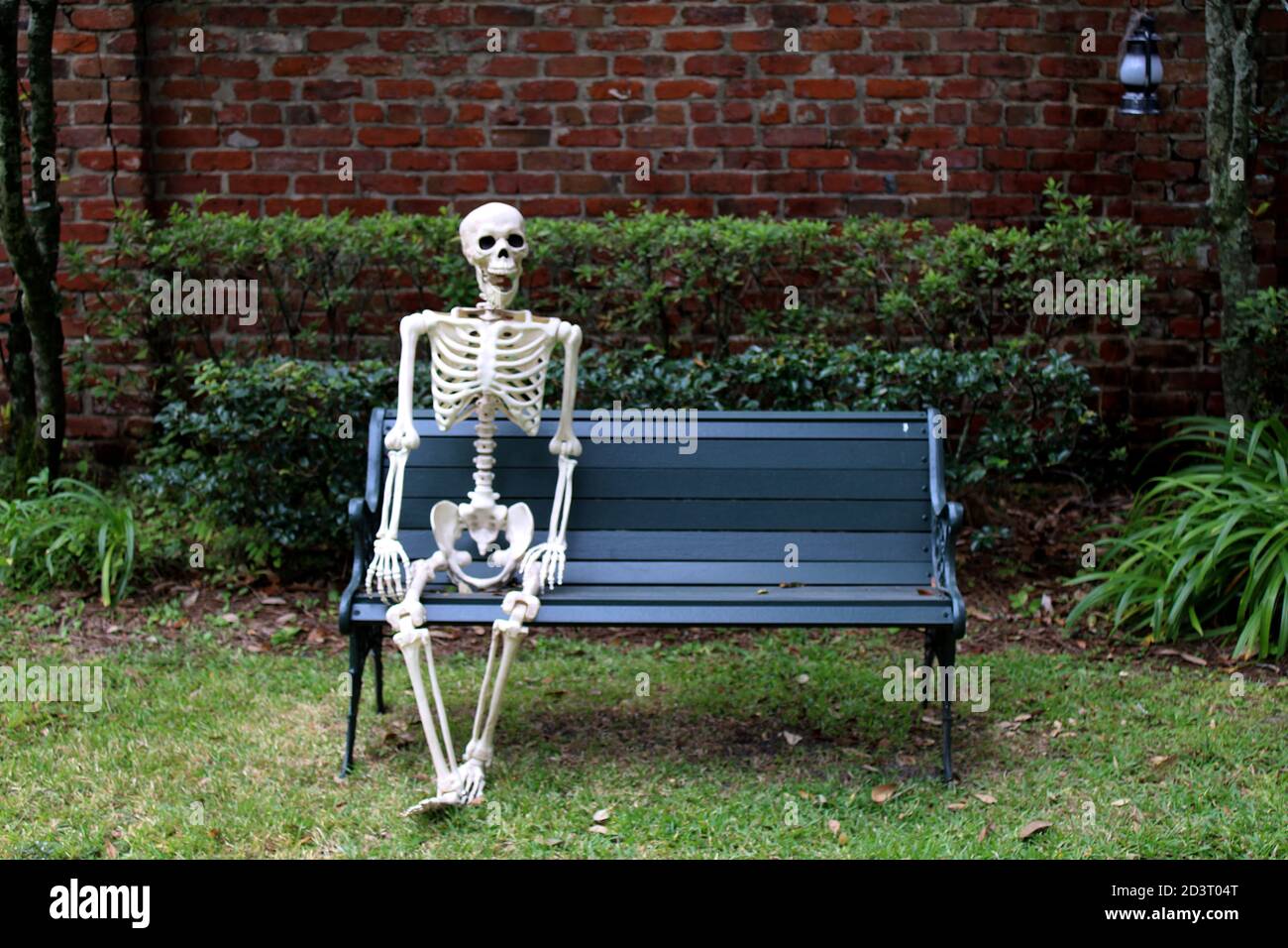 this friendly Halloween skeleton has left room on the bench for company ...