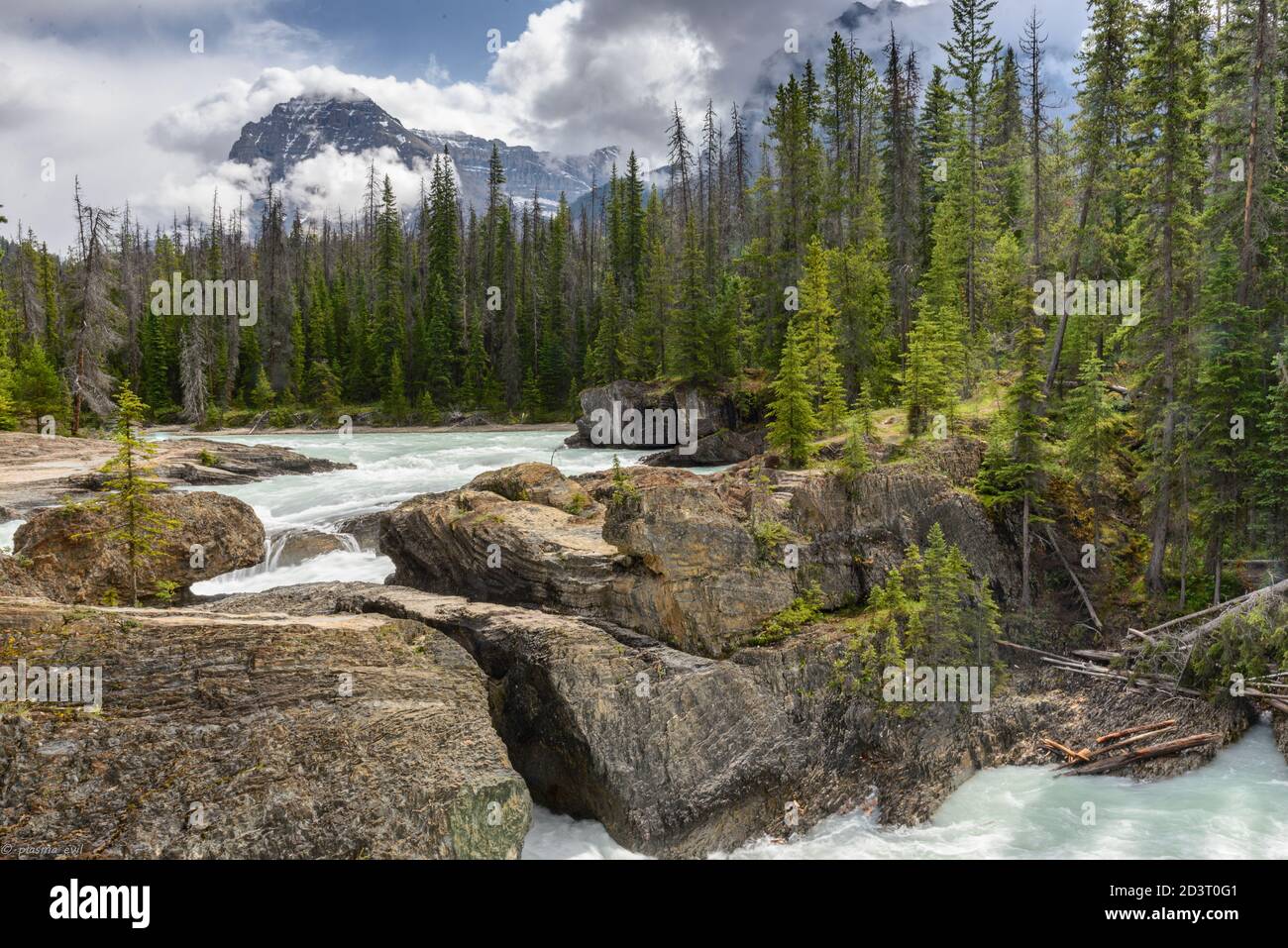 Natural Bridge water flow, Yoho National Park Stock Photo - Alamy