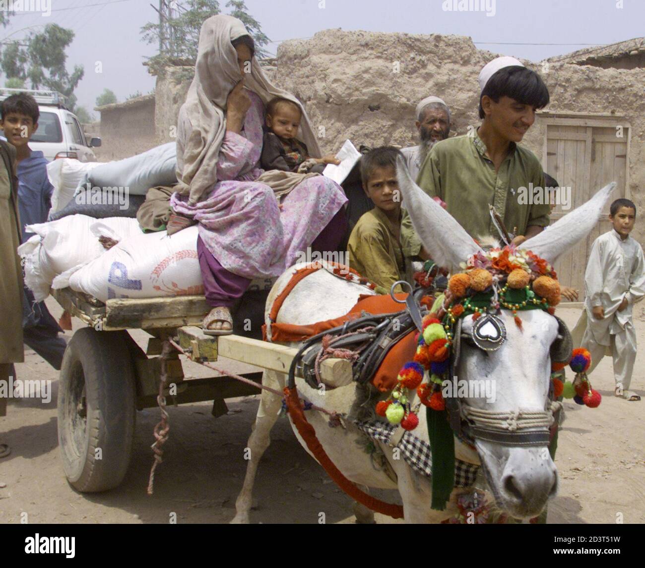 26 grains hi-res stock photography and images - Alamy