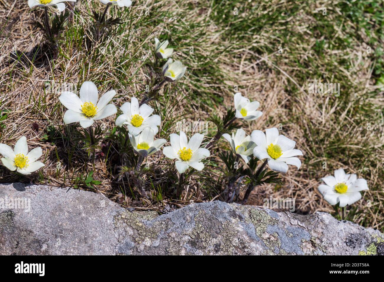 Route in the mountains hi-res stock photography and images - Alamy