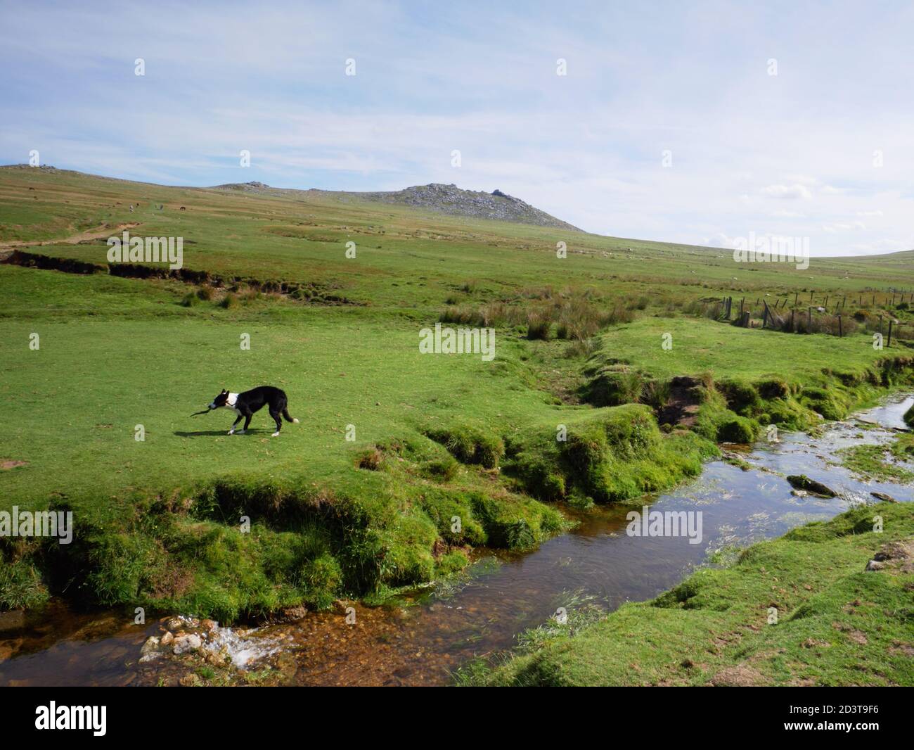 Bodmin moorland hi-res stock photography and images - Alamy