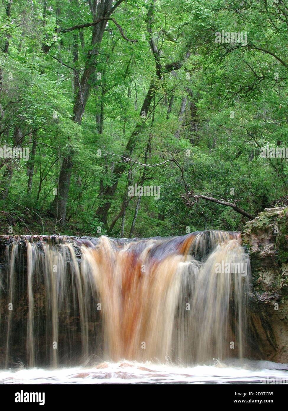 Falling Creek Falls is a county park in North Central Florida featuring ...