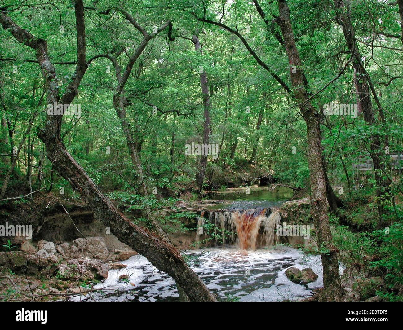 Falling Creek Falls is a county park in North Central Florida featuring ...