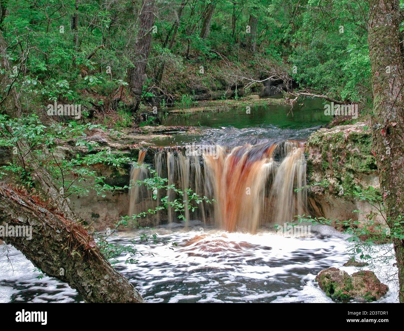 Falling Creek Falls is a county park in North Central Florida featuring ...