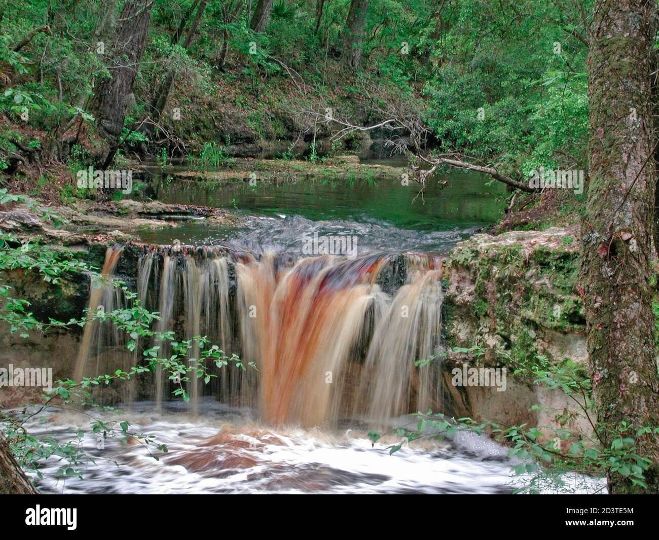 Falling Creek Falls is a county park in North Central Florida featuring ...