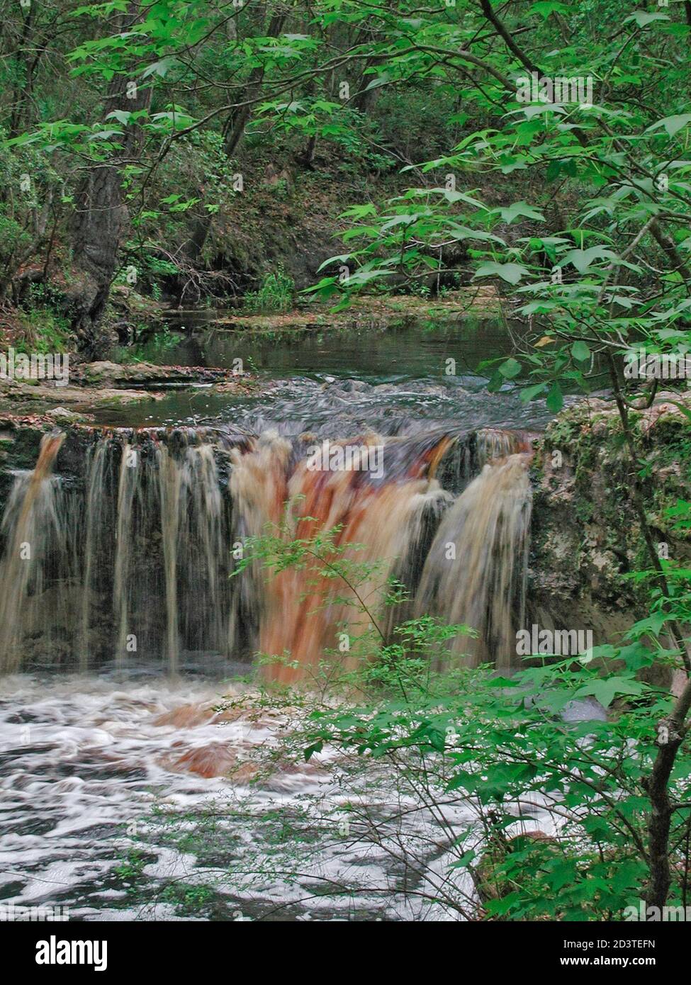 Falling Creek Falls is a county park in North Central Florida featuring ...