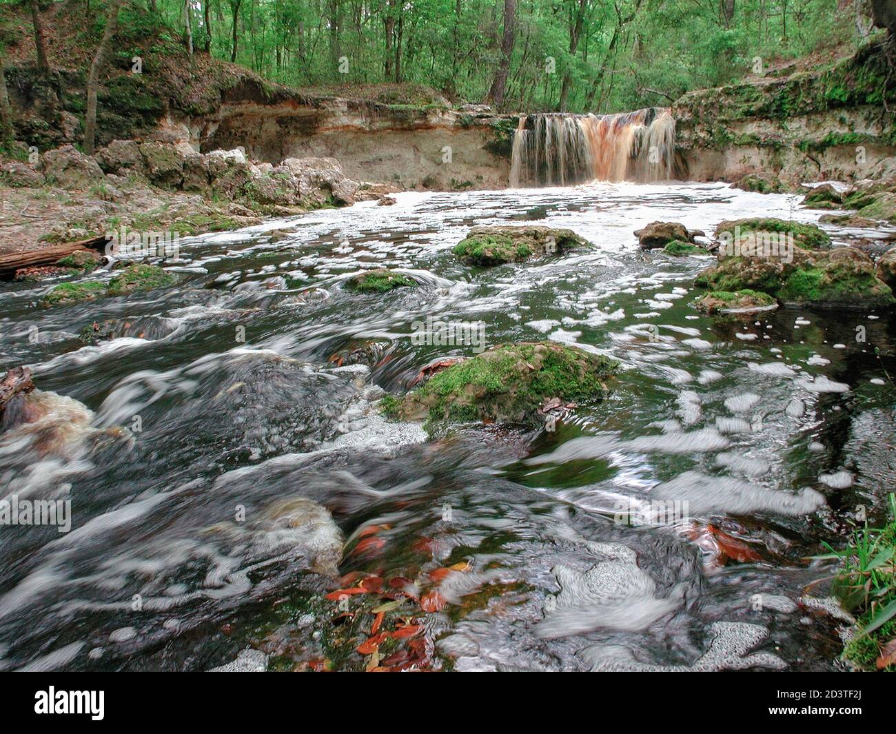 Falling Creek Falls is a county park in North Central Florida featuring ...
