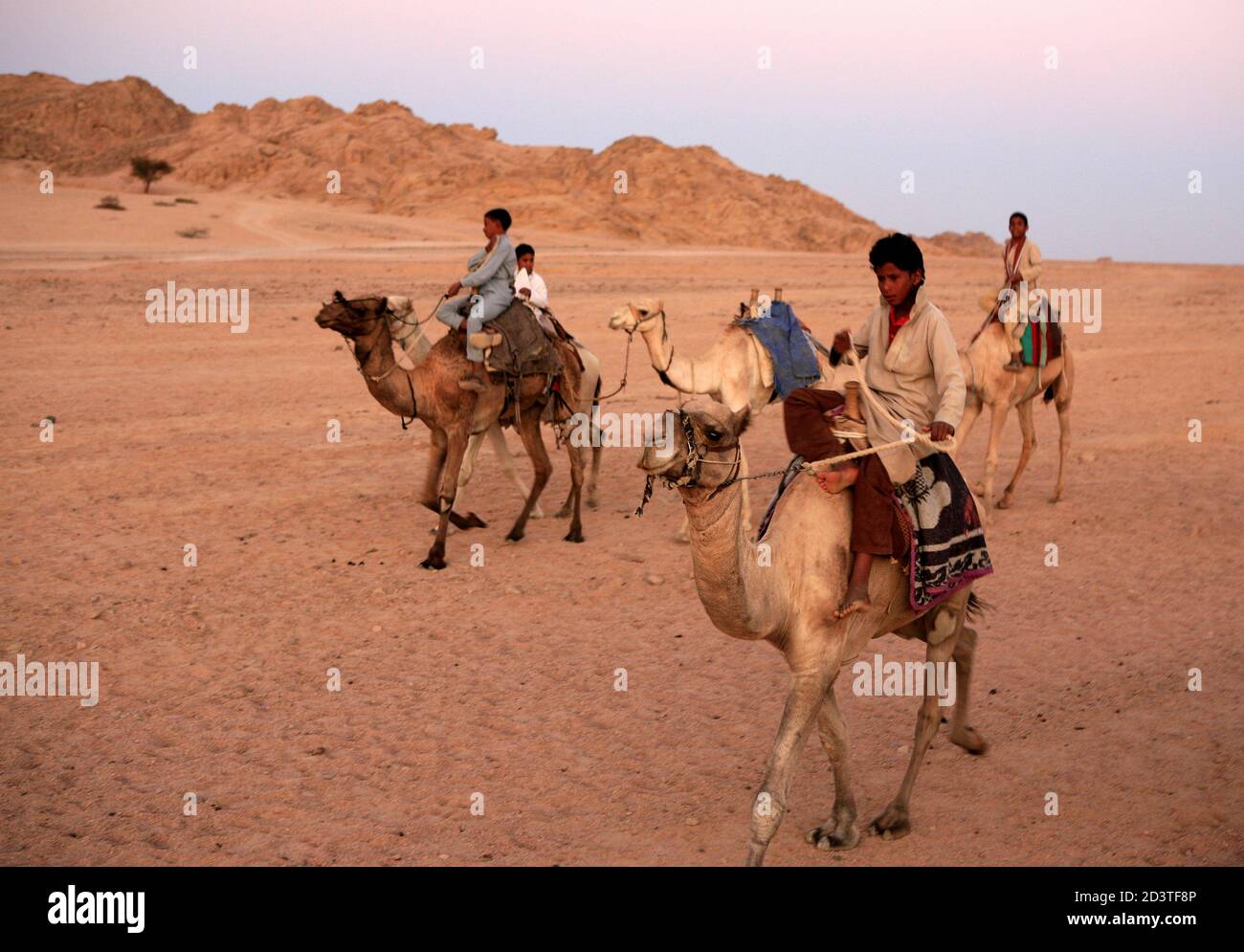 Group arab men in desert hi-res stock photography and images - Alamy