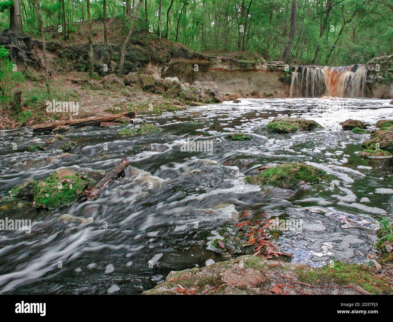Falling Creek Falls is a county park in North Central Florida featuring ...