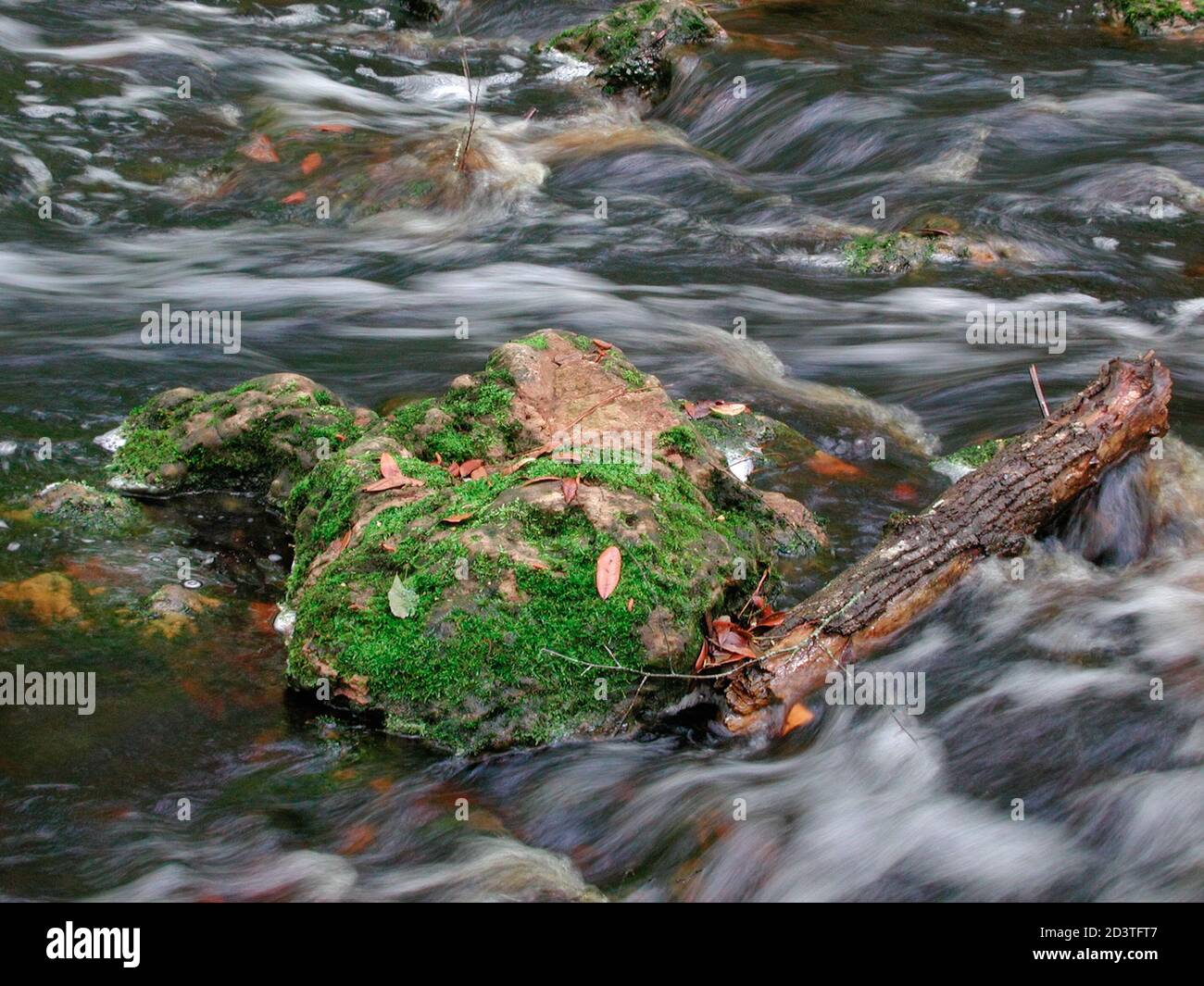 Falling Creek Falls is a county park in North Central Florida featuring ...