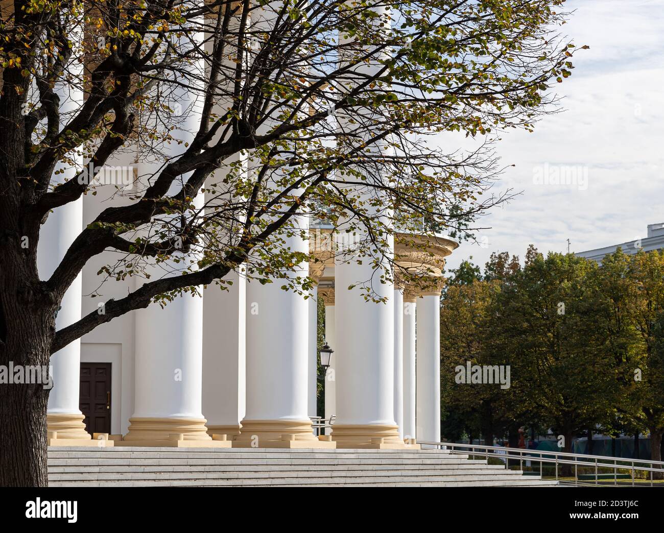 autumn leaves on a background of white columns. Classic building in the ...