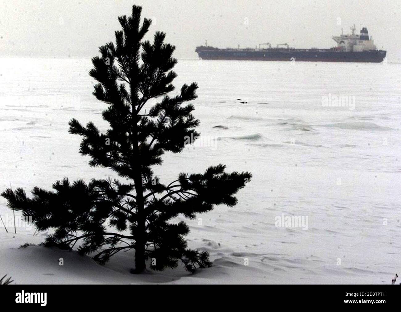 Primorsk port hi-res stock photography and images - Alamy